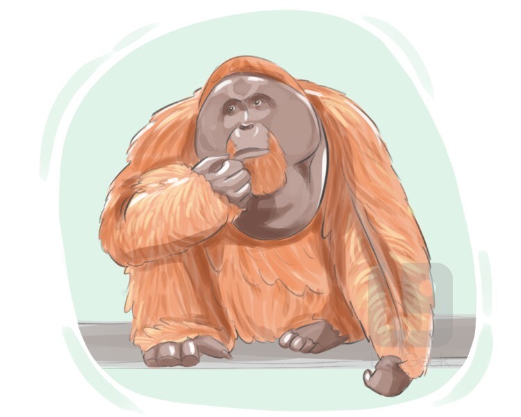 Definition & Meaning of "Orangutan" | LanGeek