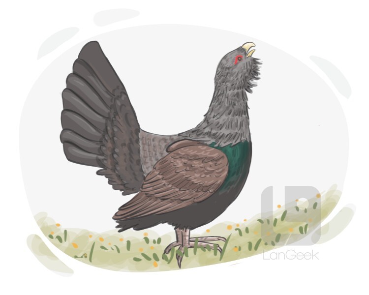 Definition & Meaning of "Grouse" | LanGeek