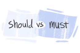 "Should" vs. "Ought To" in the English grammar | LanGeek