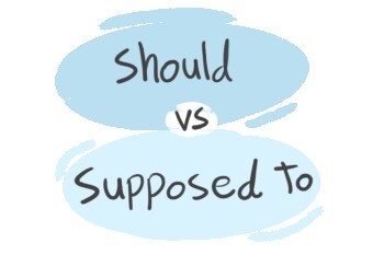 "Should" vs. "Supposed To" in the English grammar | LanGeek