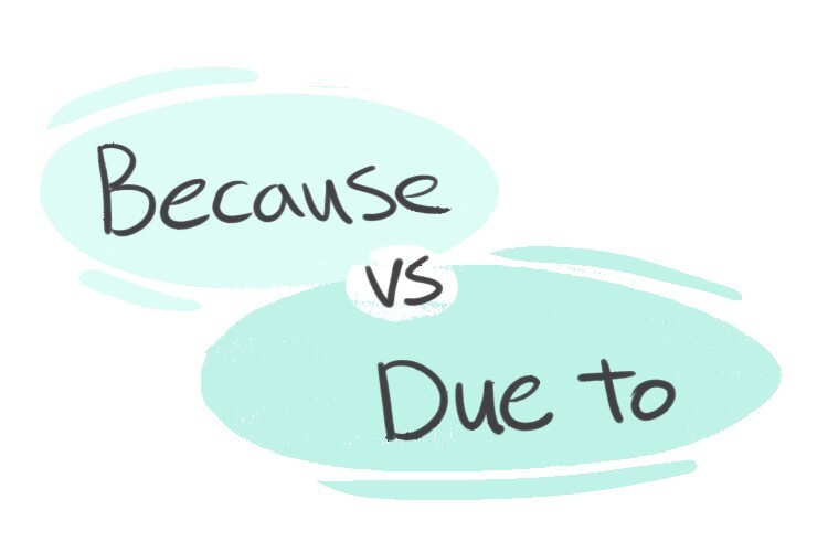"Because" vs. "Due To" in the English grammar | LanGeek