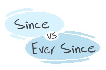 "Since" vs. "Ever Since" in the English grammar | LanGeek