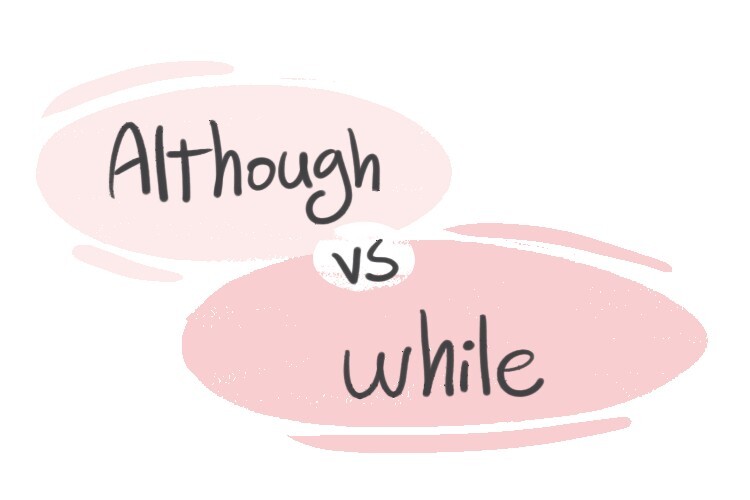 "Although" vs. "While" in the English grammar | LanGeek