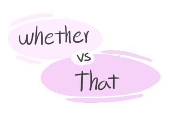 "Whether" vs. "That" in the English grammar | LanGeek