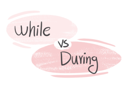 "While" vs. "Whereas" in the English grammar | LanGeek