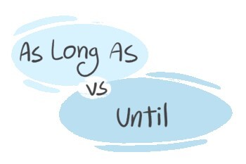 "As Long As" vs. "Until" in the English grammar | LanGeek