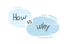 "Why" vs. "Because" in the English grammar | LanGeek