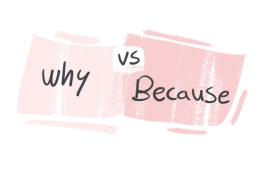 "How" vs. "Why" in the English grammar | LanGeek