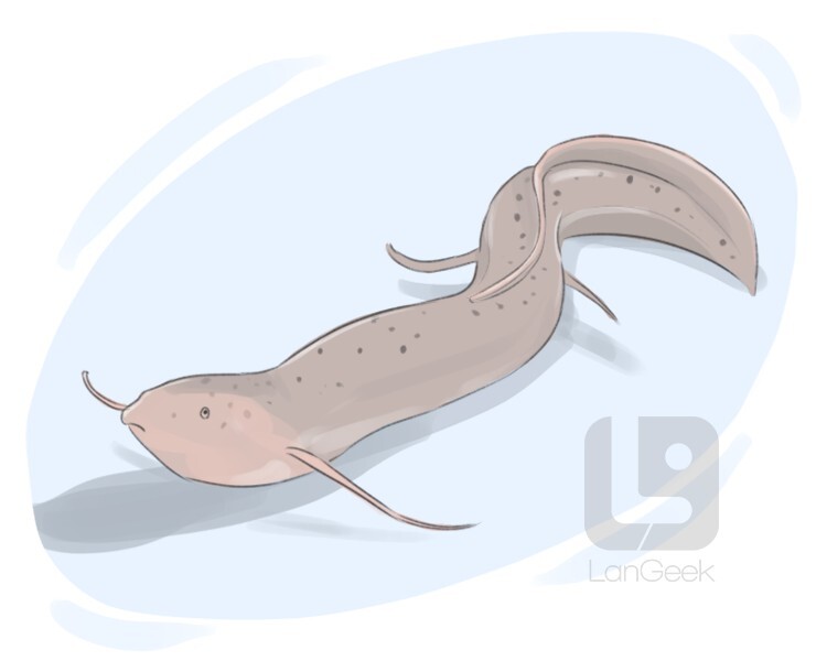Definition & Meaning of "Lungfish" | LanGeek