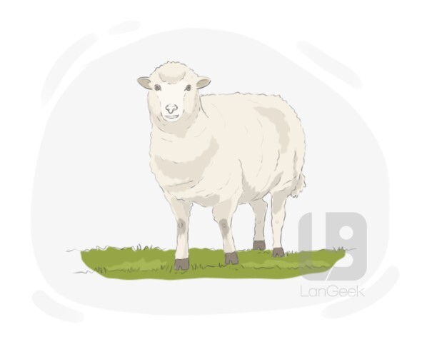 Definition & Meaning of "Ram" | LanGeek