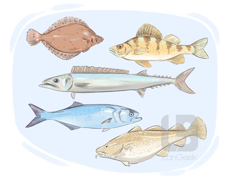Definition & Meaning of "Saltwater fish" | LanGeek