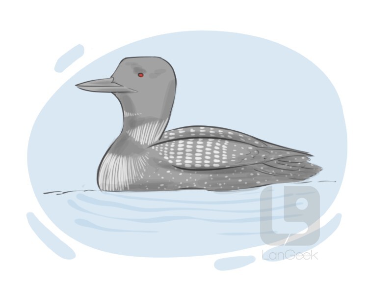 Cartoon Loon