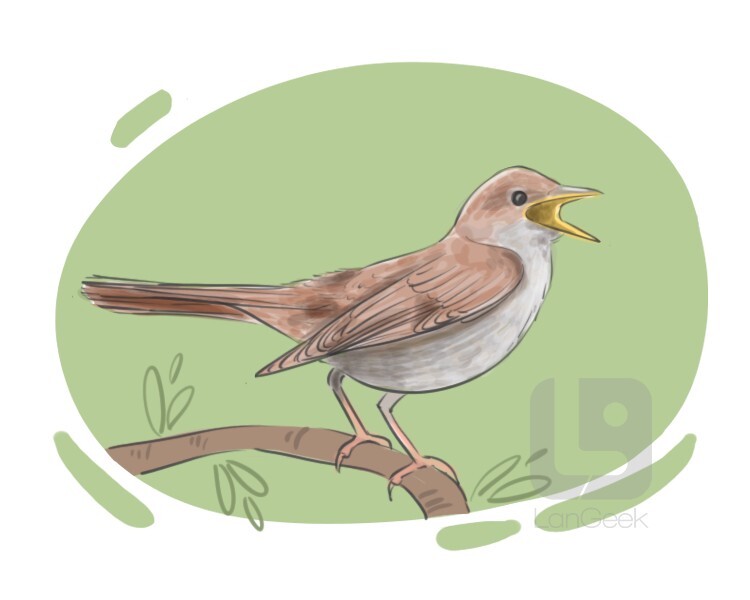 Traducción de la palabra "Nightingale" | LanGeek