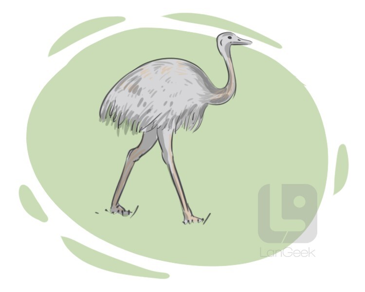 Definition & Meaning of "Rhea" | LanGeek