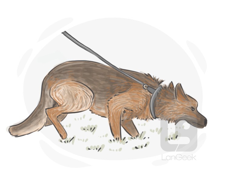Definition & Meaning of "Tracking dog" | LanGeek