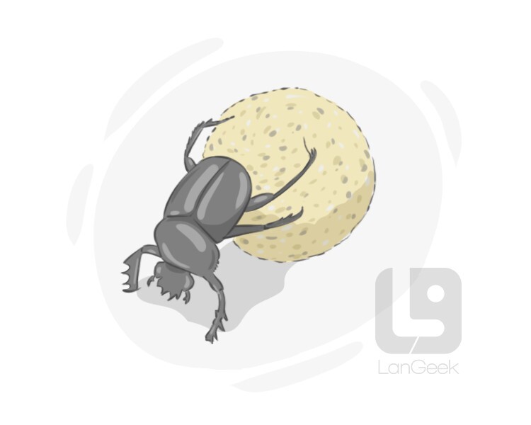 Definition & Meaning of "Scarab" | LanGeek