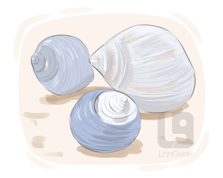 Definition & Meaning of "Winkle" | LanGeek