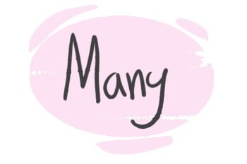 How to use "Many" in English Grammar | LanGeek