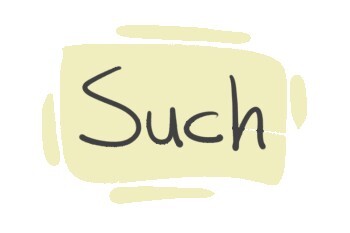 How to use "Such" in English Grammar | LanGeek