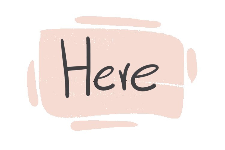 How to Use 'Here' in English Grammar | LanGeek How to Use 'Here' in English Grammar | LanGeek