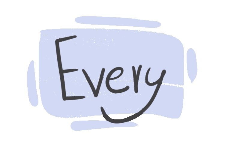 How to use ''Every'' in the English Grammar? | LanGeek