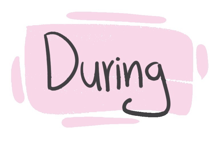 How to Use "During" in English? | LanGeek