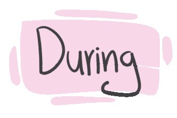 How to Use "During" in English? | LanGeek