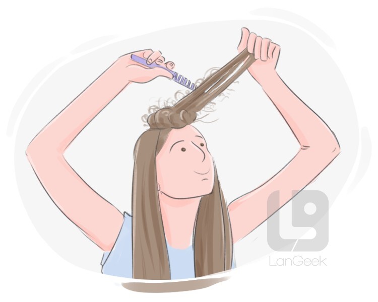 Definition & Meaning of "Backcomb" | LanGeek