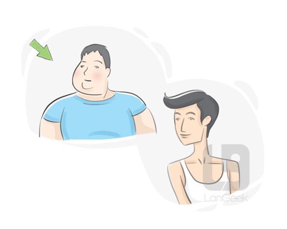 Definition & Meaning of "Pudginess" | LanGeek