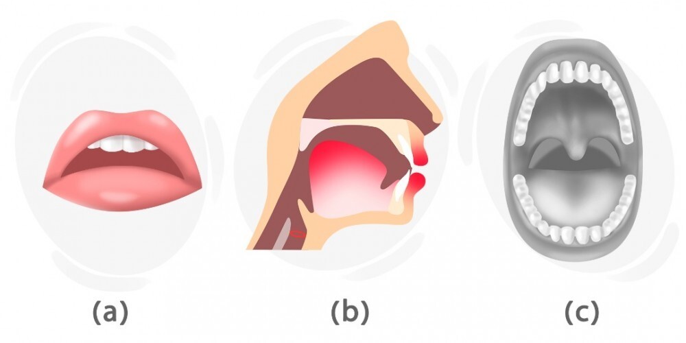 How to Pronounce the /w/ Sound | LanGeek