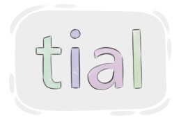 English Multigraphs | LanGeek