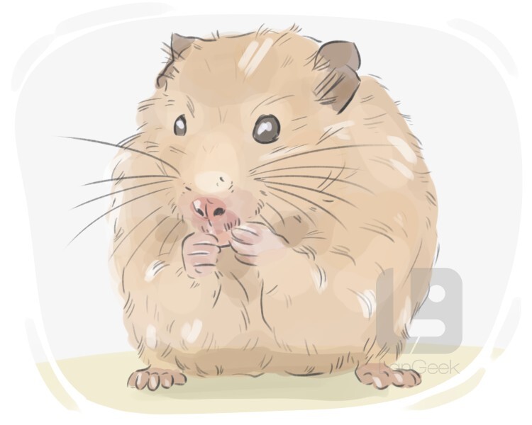 Definition & Meaning of "Hamster" | LanGeek