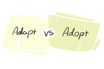 "Adapt" vs. "Adopt" in English | LanGeek