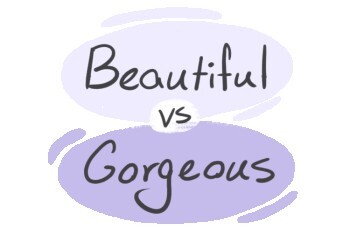 "Beautiful" vs. "Gorgeous" in English | LanGeek