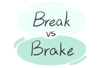 "Break" vs. "Brake" in English | LanGeek