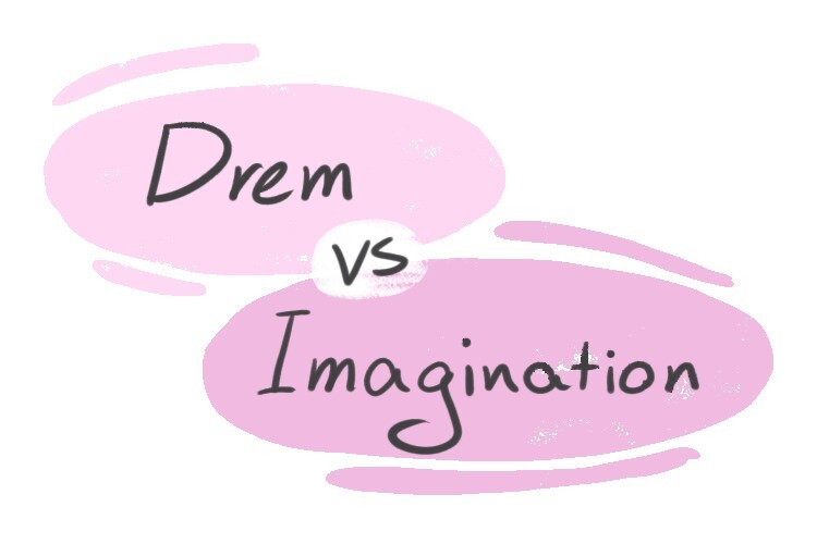 "Dream" vs. "Imagination" in English | LanGeek