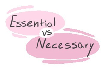 "Essential" vs. "Necessary" in English | LanGeek