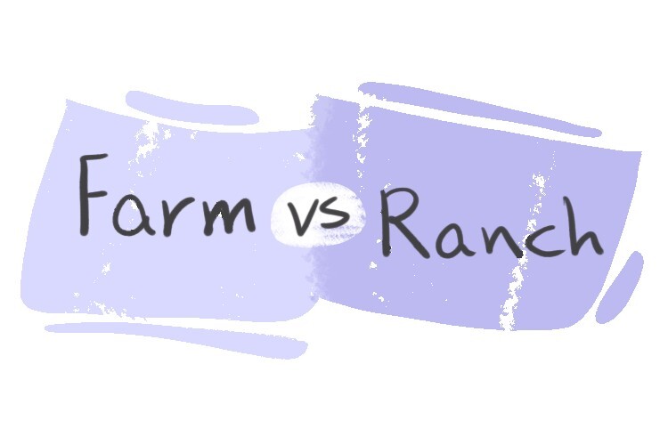 "Farm" vs. "Ranch" in English | LanGeek