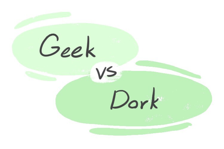 "Geek" vs. "Dork" in English | LanGeek