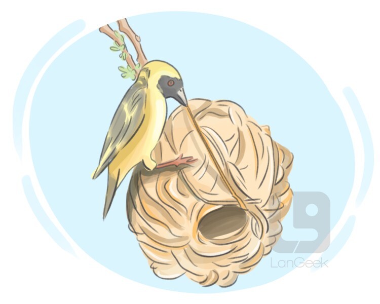 Definition & Meaning of "Weaver finch" | LanGeek