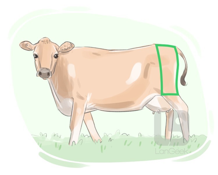 Definition Meaning Of Round LanGeek