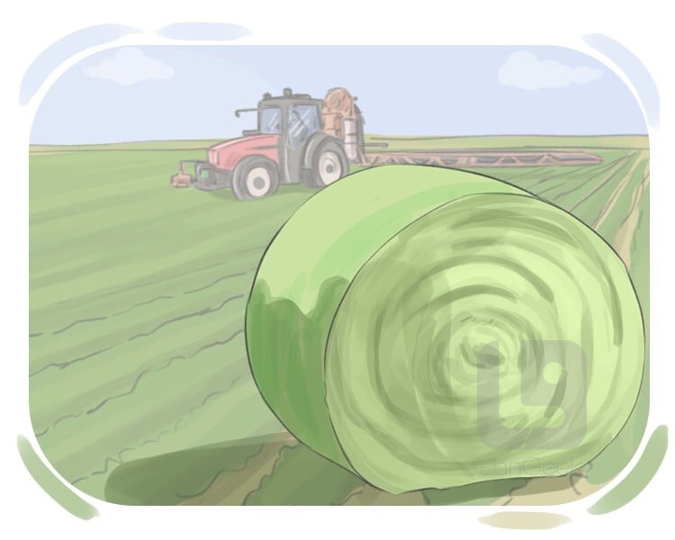 Definition & Meaning of "Silage" | LanGeek