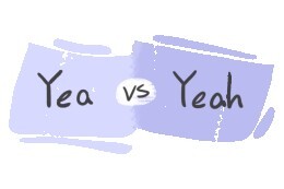 "Shined" vs. "Shone" in the English Grammar | LanGeek