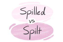 "Shined" vs. "Shone" in the English Grammar | LanGeek