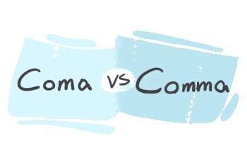 "Coma" vs. "Comma" in English | LanGeek