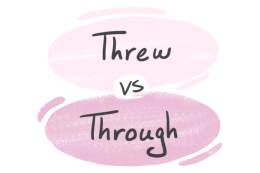 "Themselves" vs. "Theirselves" in the English Grammar | LanGeek