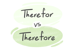 "Themselves" vs. "Theirselves" in the English Grammar | LanGeek