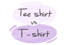 "Themselves" vs. "Theirselves" in the English Grammar | LanGeek