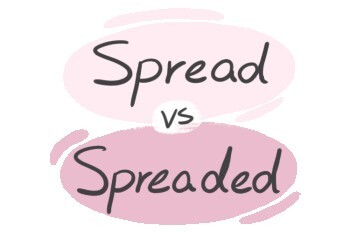 "Spread" vs. "Spreaded" in the English Grammsr | LanGeek