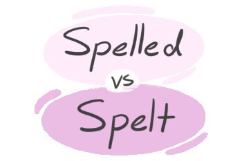 "Spelled" vs. "Spelt" in the English Grammar | LanGeek